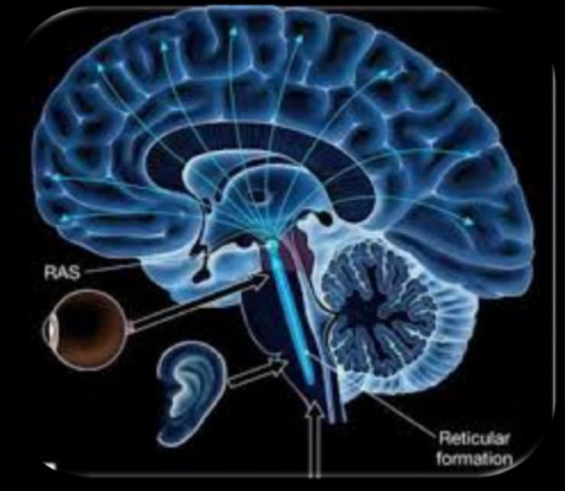 Visión y Audición - APAAL INSTITUTE